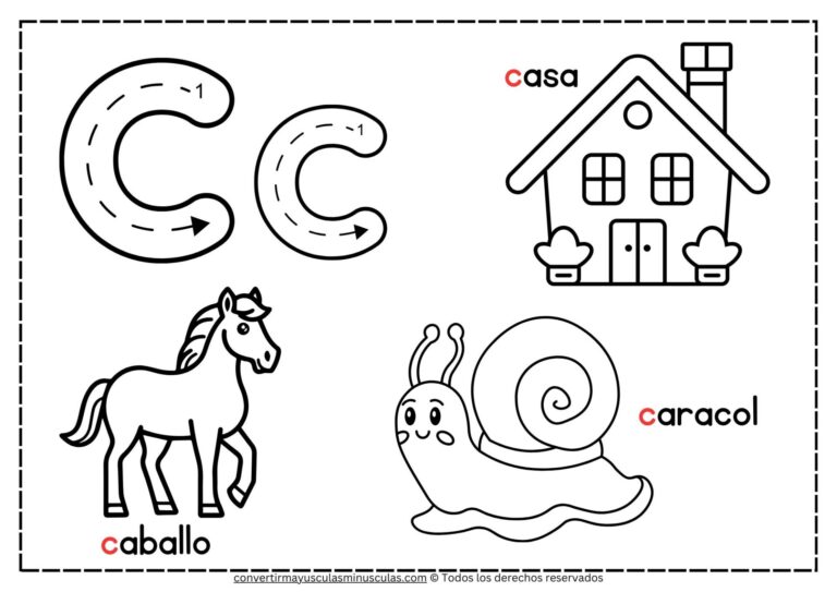 🥇 Dibujos con la Letra C para Colorear【PDF】 ️2024